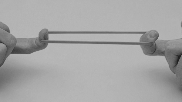 Introducción a la Gestión del Riesgo: Tolerancia y Apetito