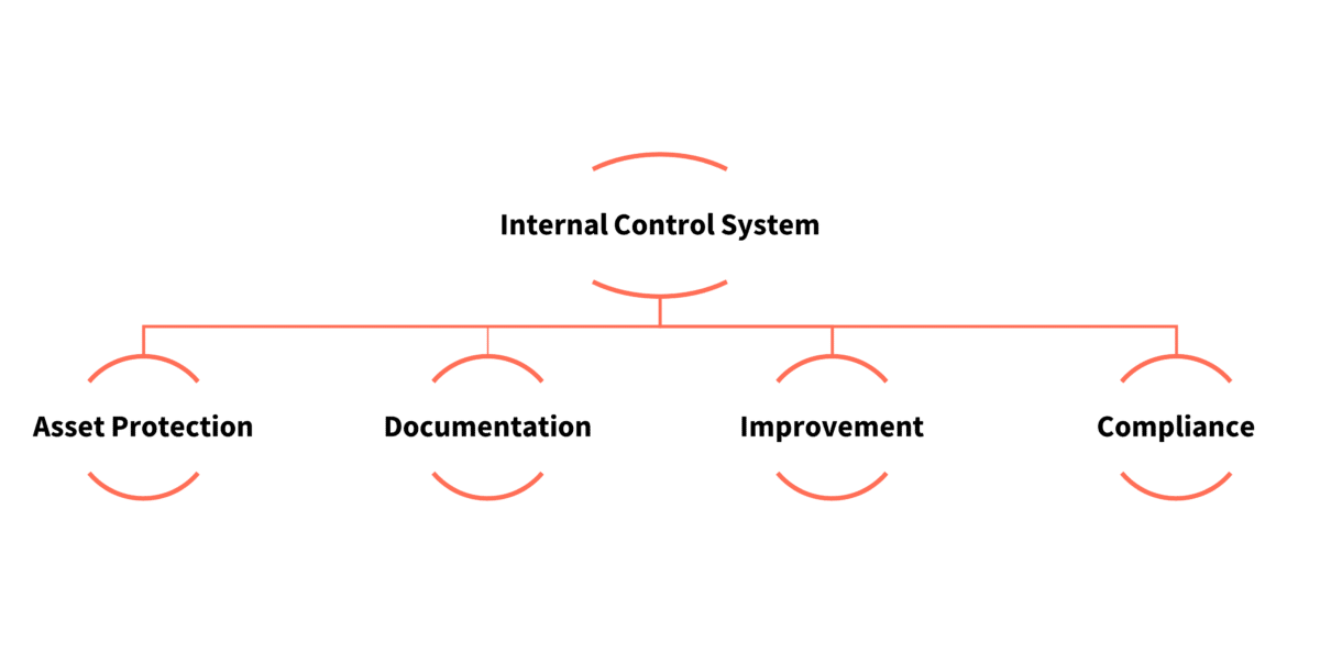 What is Internal Control System in an Organization