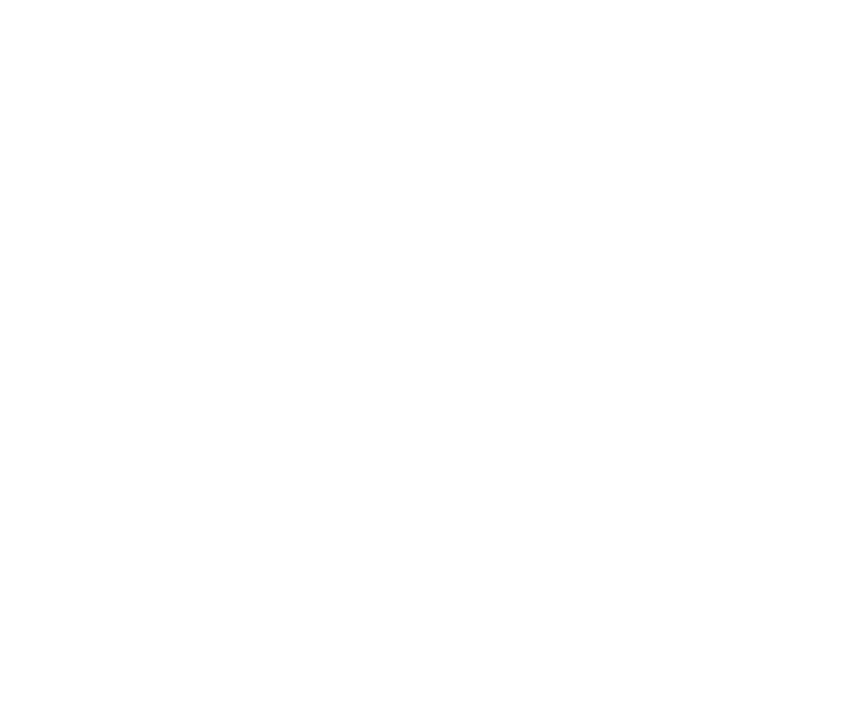 BOC Group: ADONIS, ADOIT and ADOGRC | Agile. Simple. Smart.